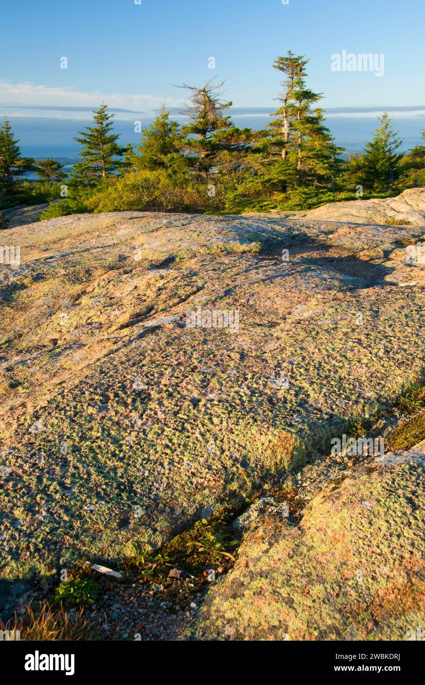 Cadillac Mountain outcrop, Acadia National Park, Maine Stock Photo - Alamy