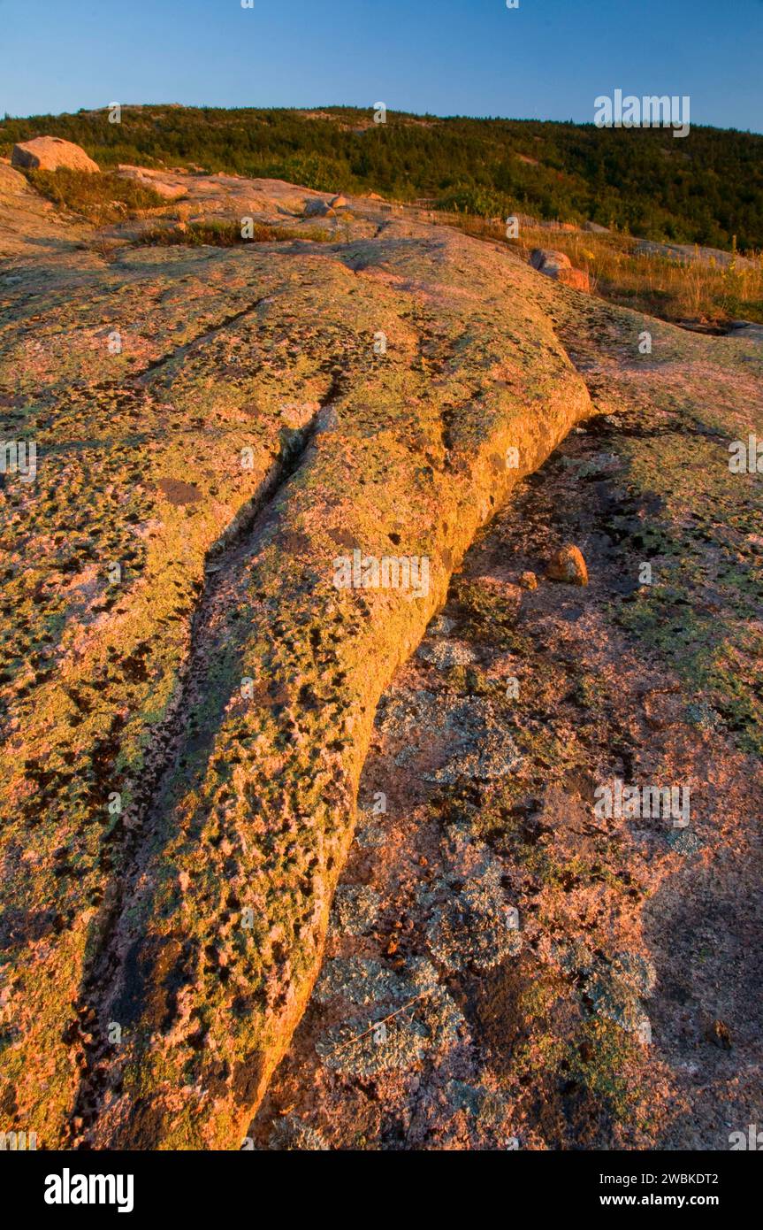 Cadillac Mountain outcrop, Acadia National Park, Maine Stock Photo - Alamy