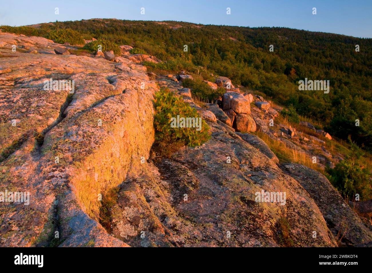 Cadillac Mountain outcrop, Acadia National Park, Maine Stock Photo - Alamy