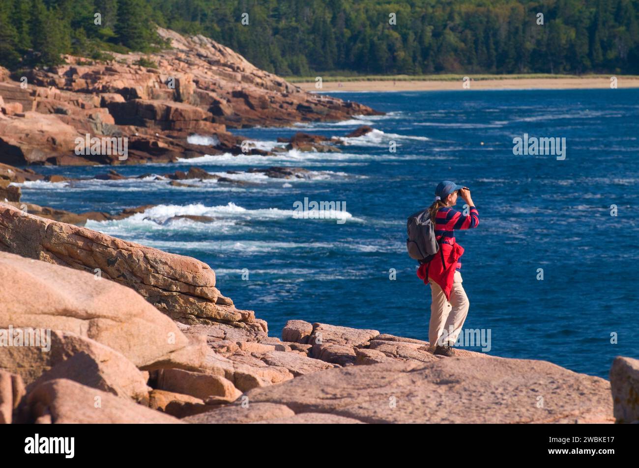 Shoreline viewing from Ocean Path, Acadia National Park, Maine Stock ...