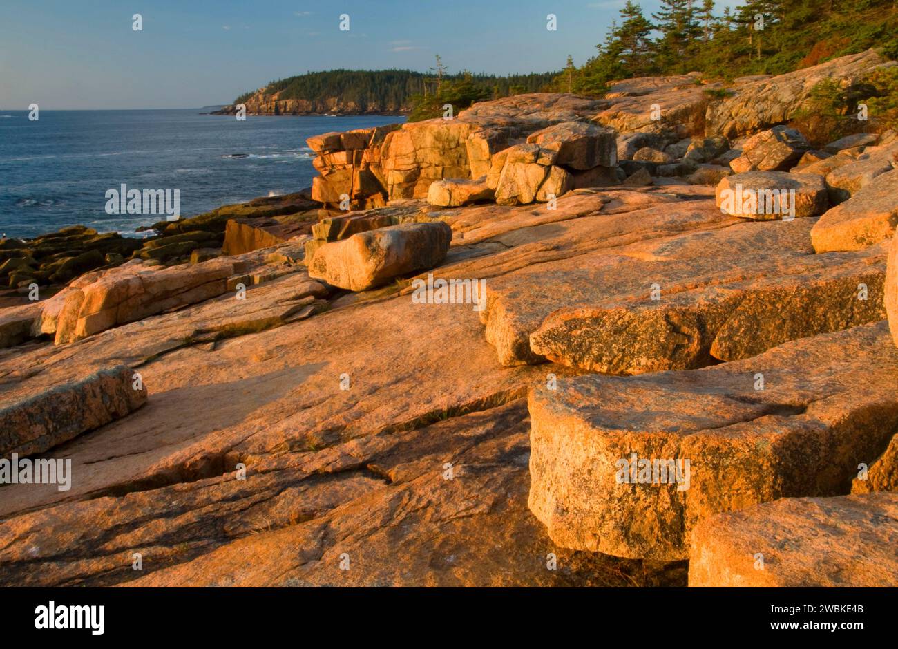 Rocky shoreline to Otter Cliff from Ocean Path, Acadia National Park ...