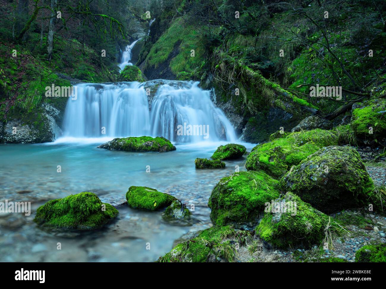 Brook moss covered stones hi-res stock photography and images - Alamy