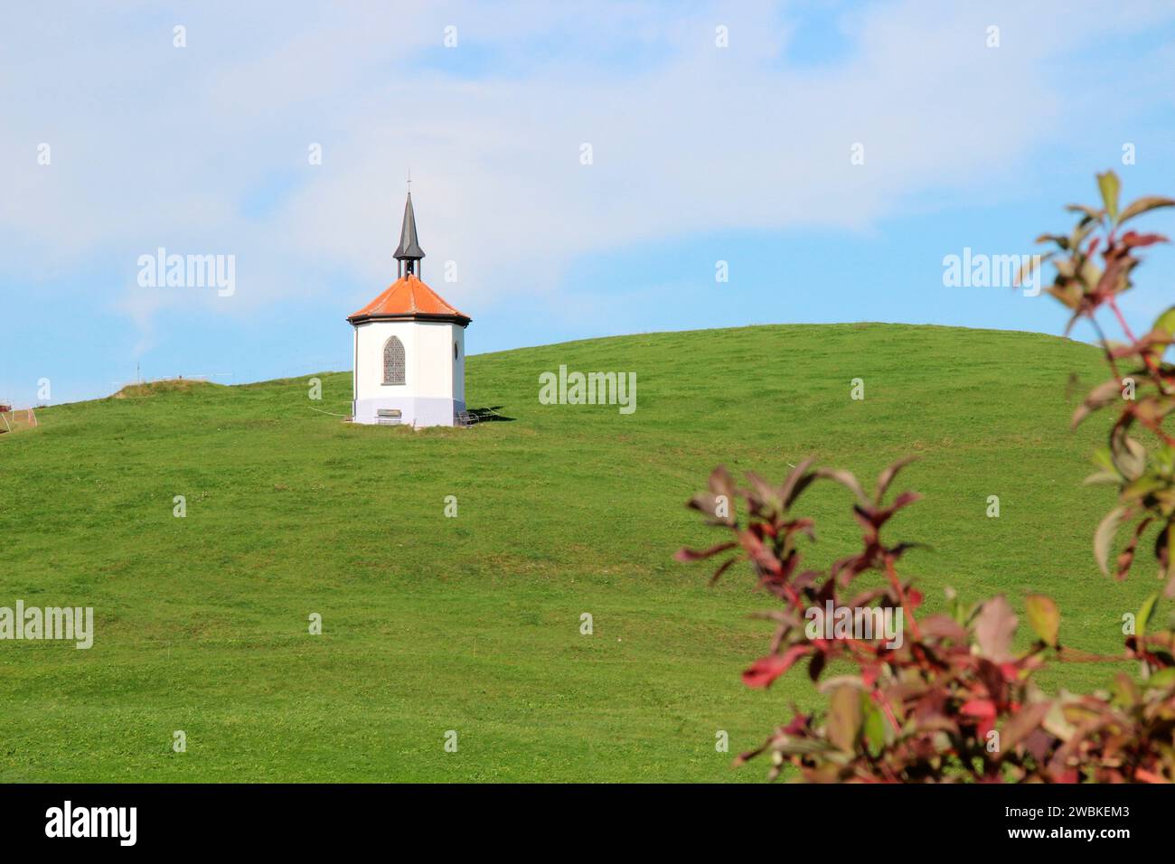 Chapel at Hergatsrieder See, near Forgensee, common reed (Phragmites ...