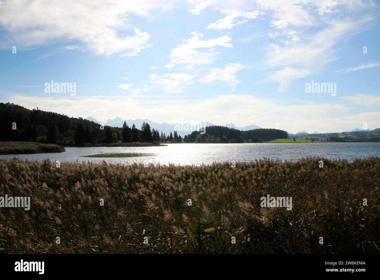Illasbergsee in front of the Ammergau Alps, Halblech, Allgäu, Bavaria ...