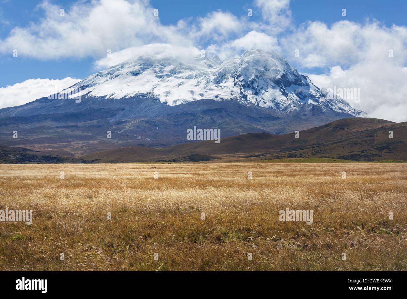 Beautiful Antisana volcano in Ecuador, South America Stock Photo - Alamy