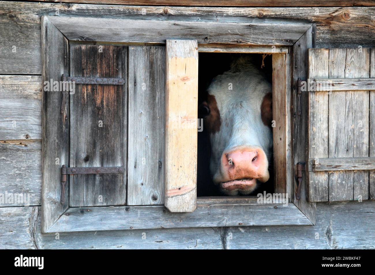 Fleckwirtschaft hi-res stock photography and images - Alamy