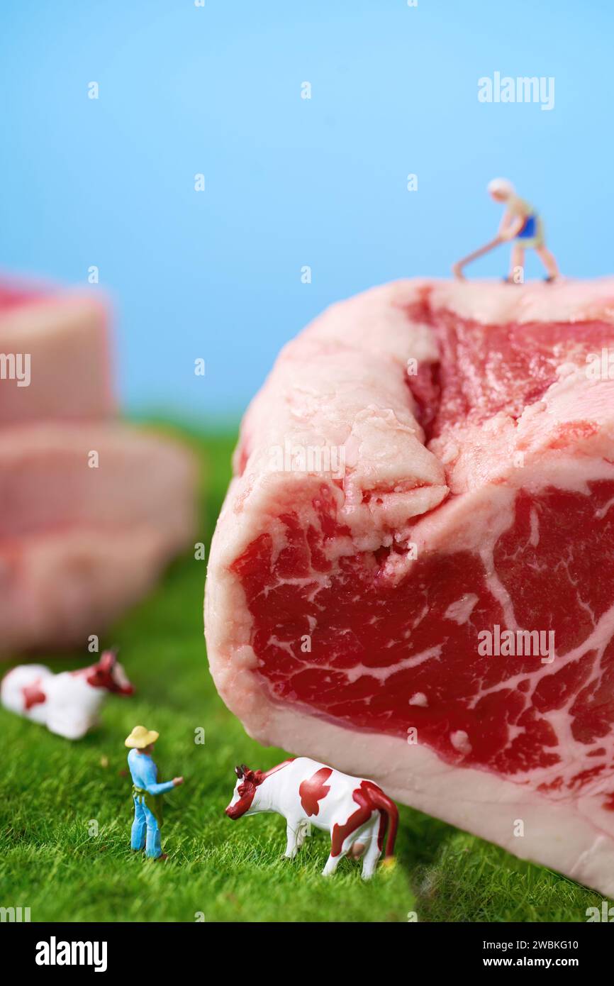 Images of raw meat, images of raw beef, images of raw pork, images of ...