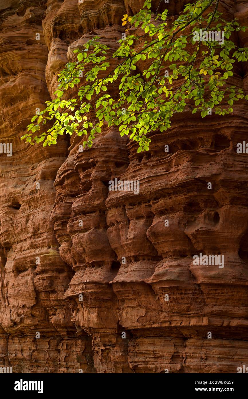 Altschlossfelsen, red sandstone rock formation near Eppenbrunn ...