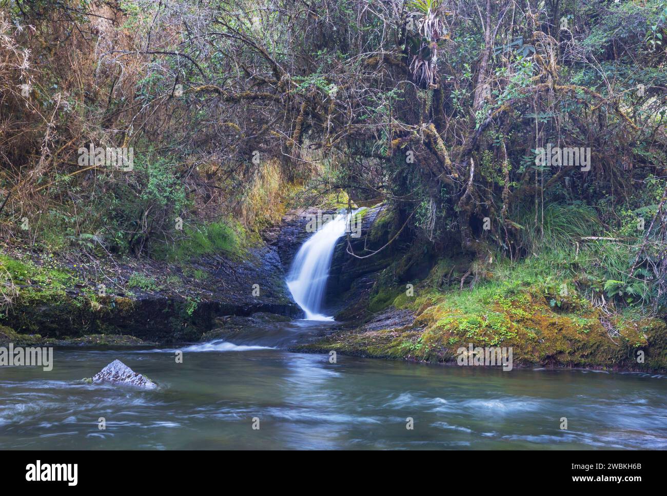 Beautiful waterfall in Ecuador, South America Stock Photo - Alamy
