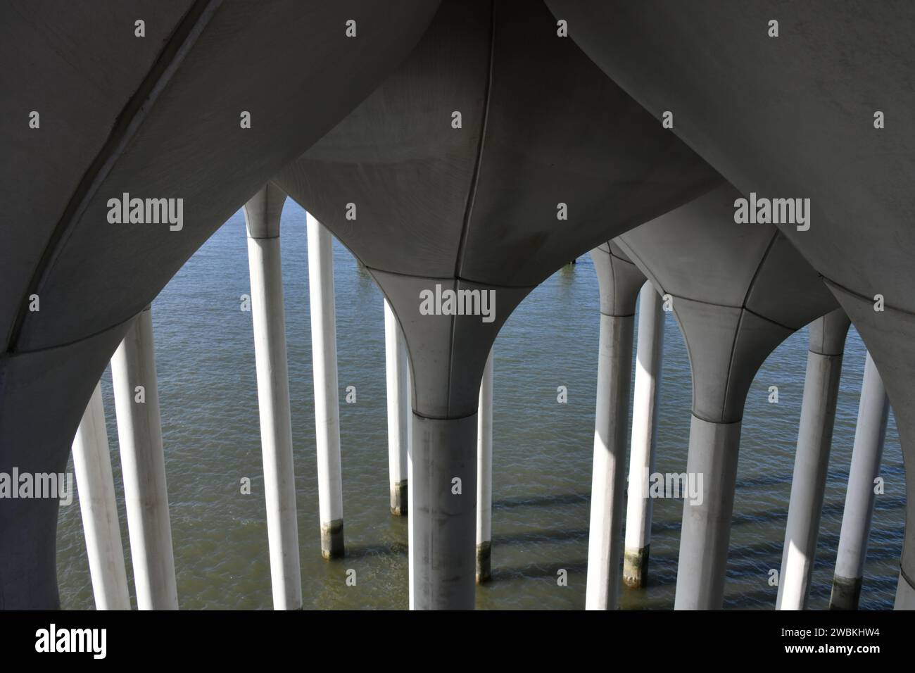The Tulip shaped pillars of Little Island Park at Pier 54 on the Hudson ...