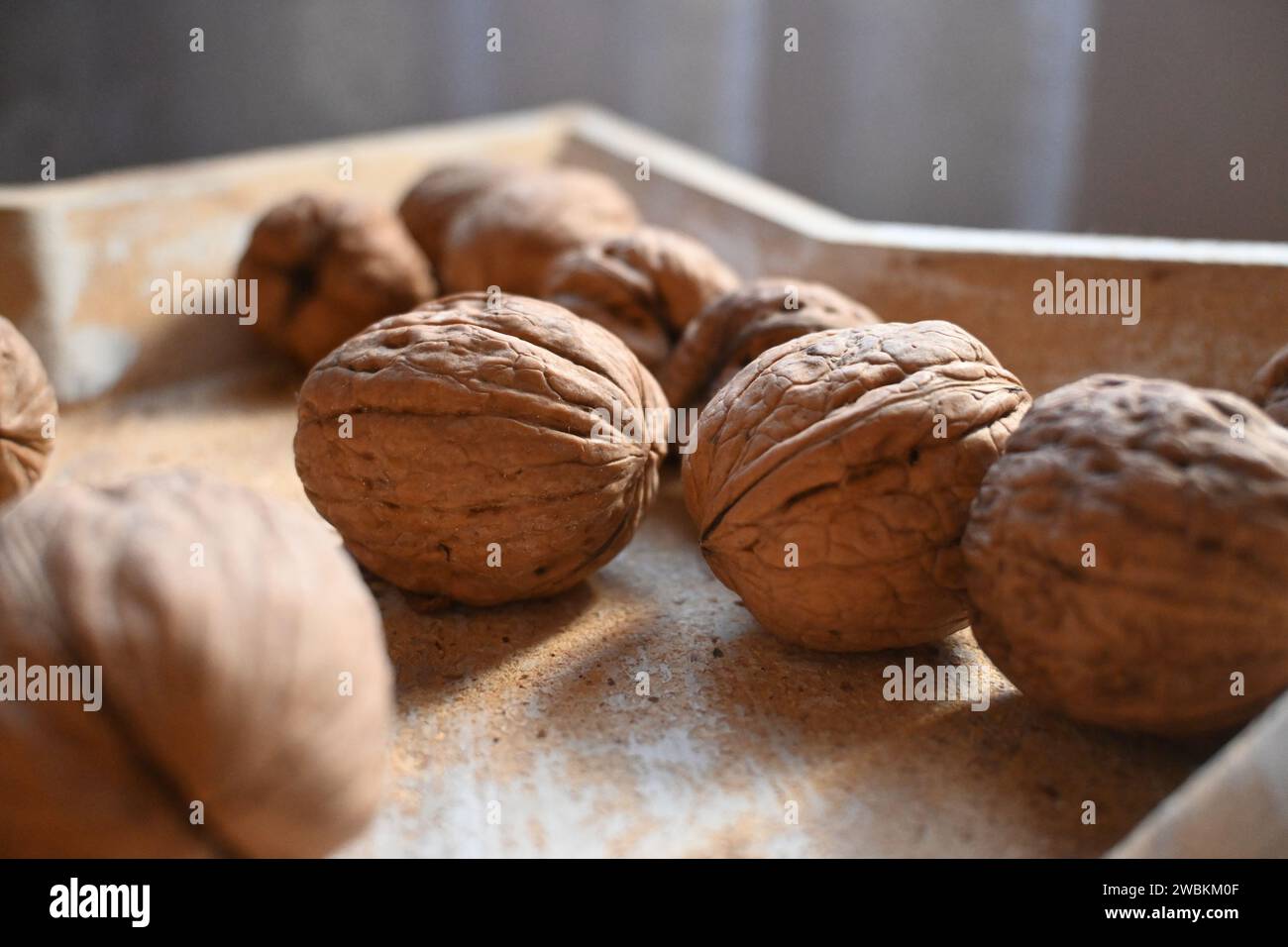 Nutshells hi-res stock photography and images - Alamy