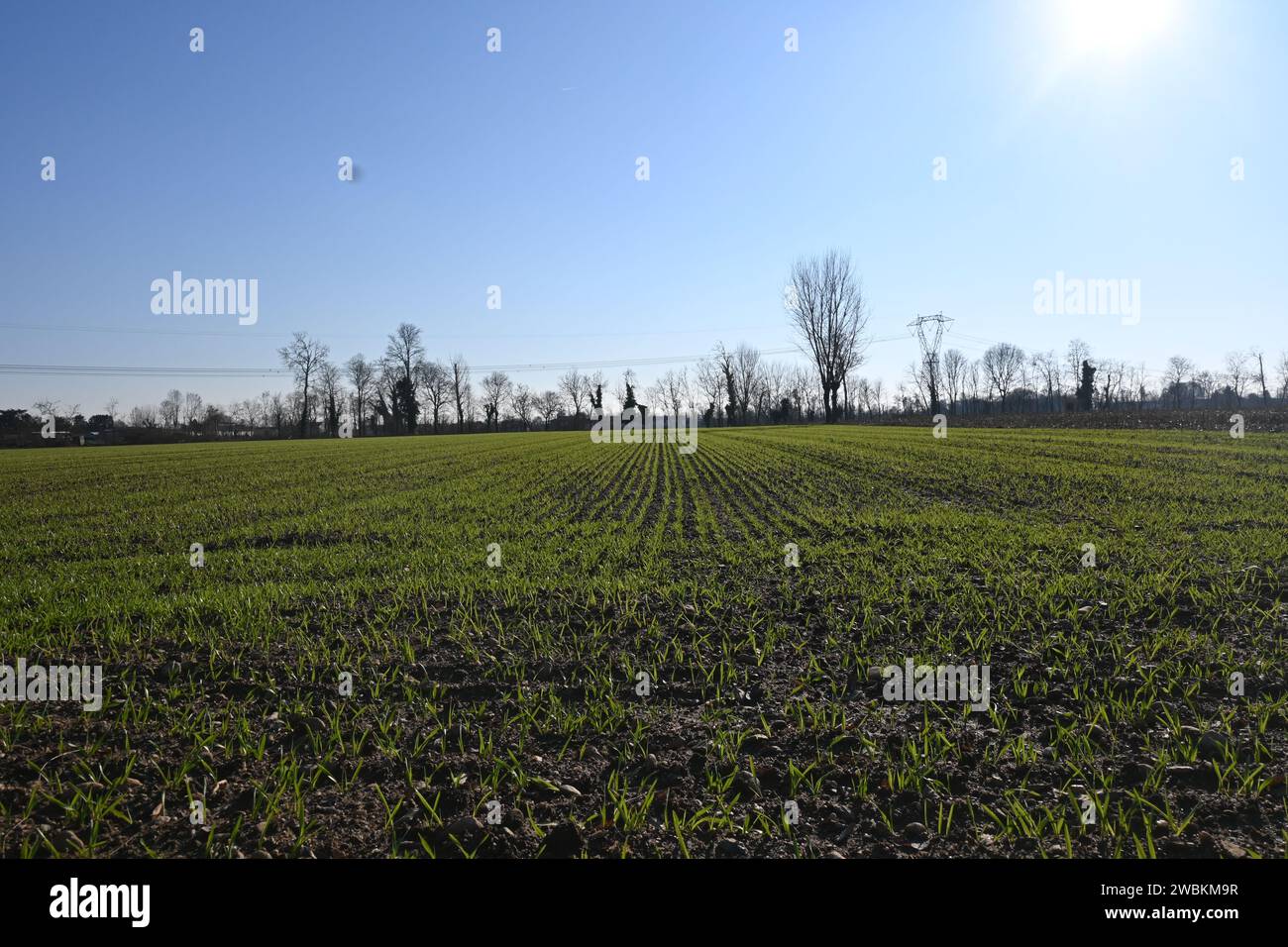 Farming passion hi-res stock photography and images - Alamy