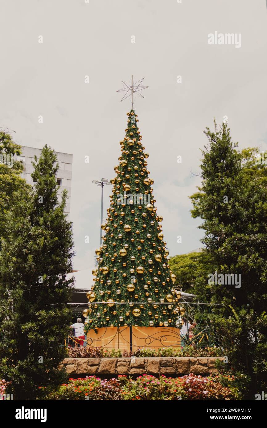 Christmas tree in the city square Stock Photo - Alamy