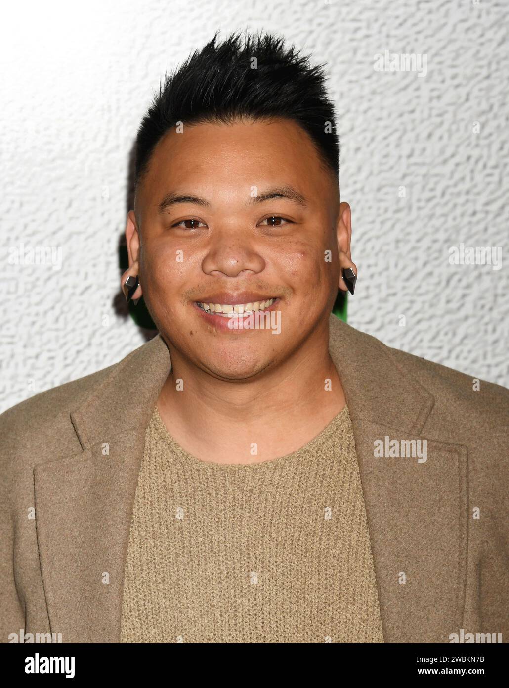 LOS ANGELES, CALIFORNIA - JANUARY 10: AJ Rafael attends the premiere of ...