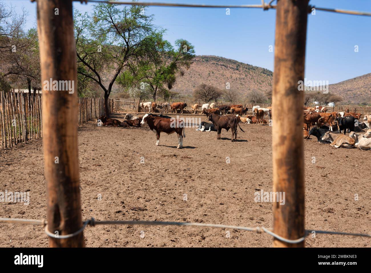 African tribe pole hi-res stock photography and images - Alamy