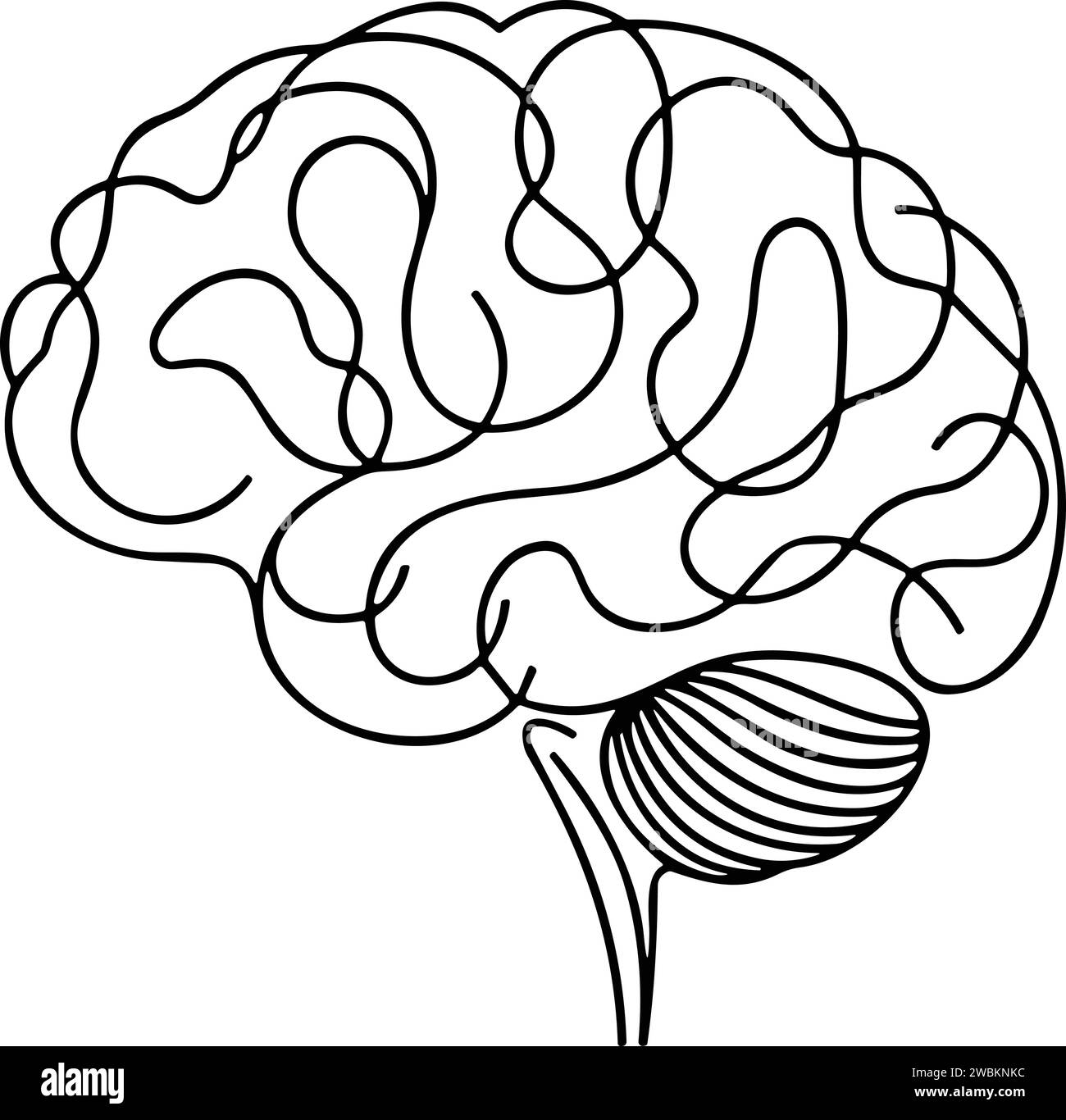 Hand Drawn Brain Icon. minimalism style vector illustration Stock ...