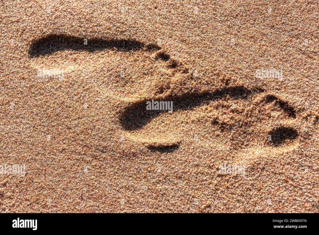 footsteps in the sand on the beach, on Ballito Bay, Durban Stock Photo ...