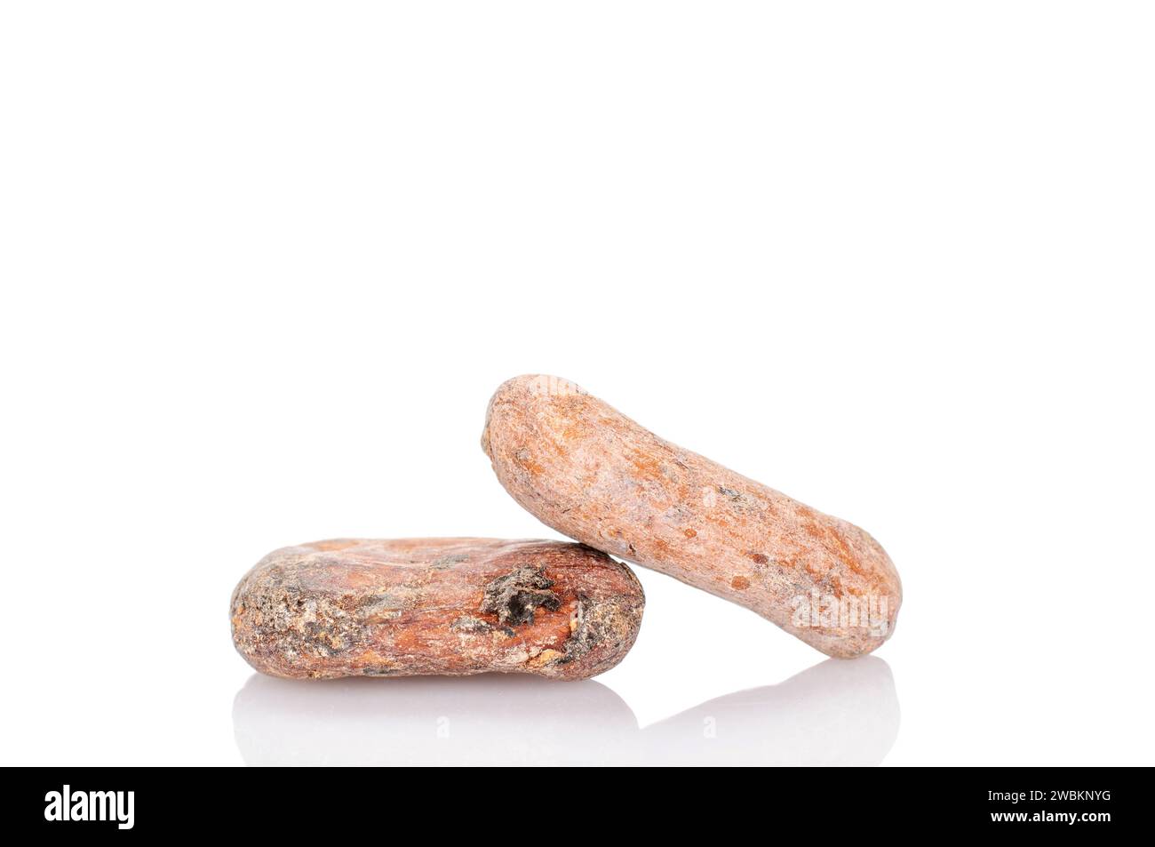 Two cocoa beans, macro, isolated on white background Stock Photo - Alamy