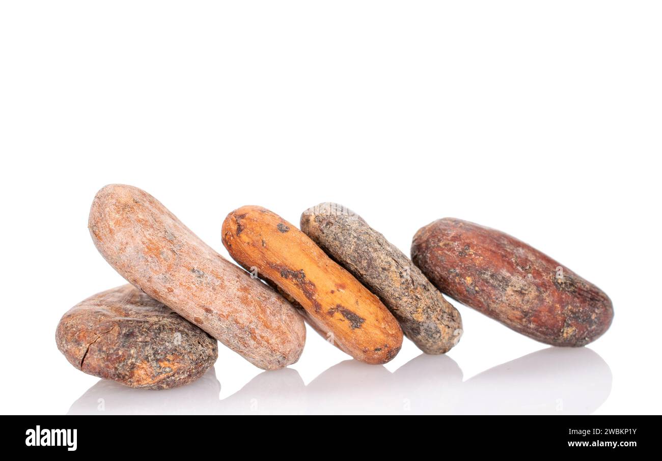 Several dry cocoa beans, macro, isolated on white background Stock ...