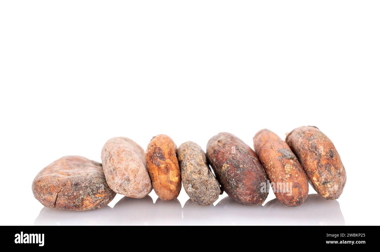 Several dry cocoa beans, macro, isolated on white background Stock ...