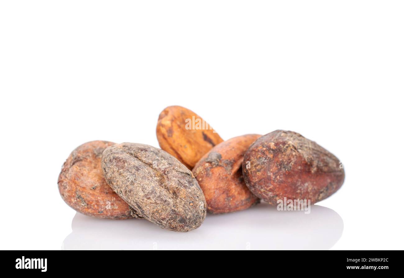 Several dry cocoa beans, macro, isolated on white background Stock ...