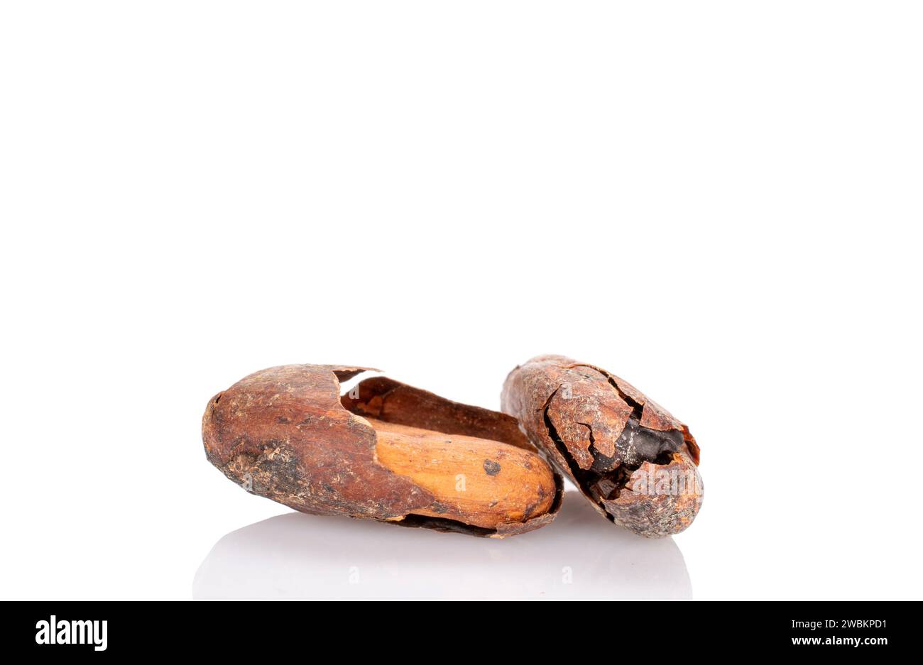 Two cocoa beans, macro, isolated on white background Stock Photo - Alamy