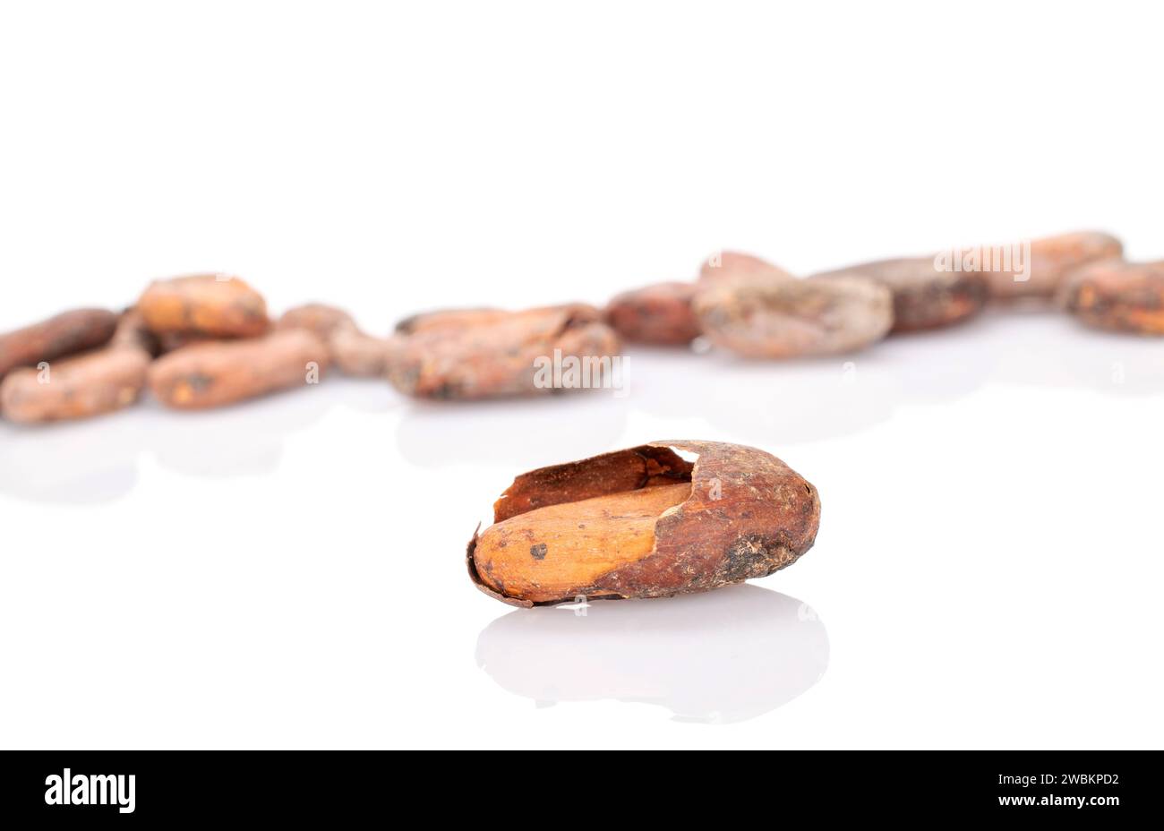 One cocoa bean, macro, isolated on white background Stock Photo - Alamy