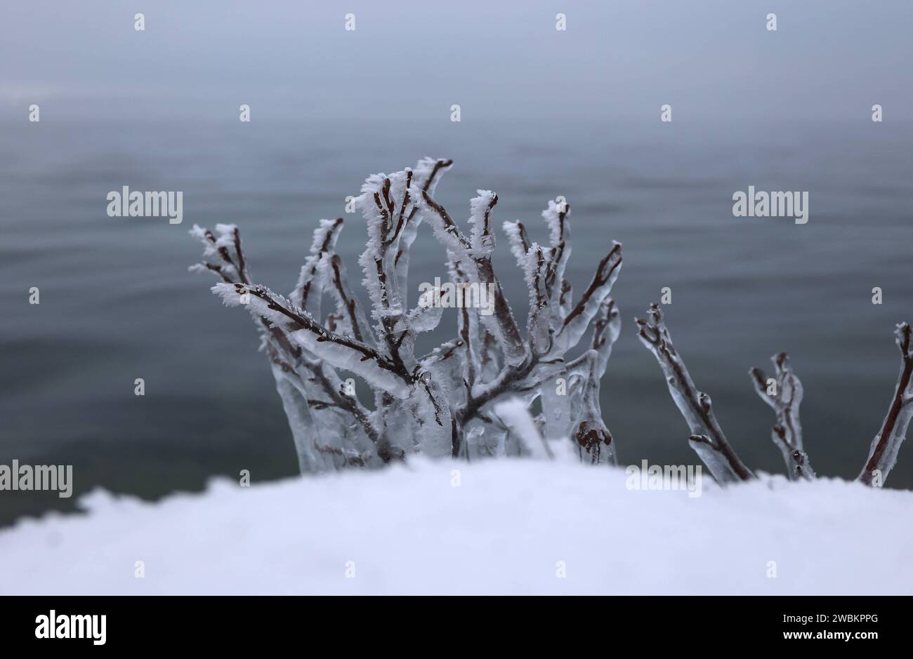 Tutzing, Bayern, Deutschland 11. Januar 2024: Ein Wintertag in Tutzing ...