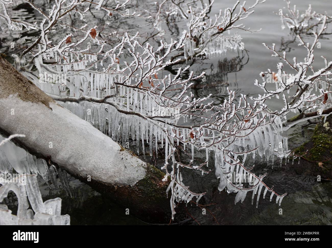 Tutzing, Bayern, Deutschland 11. Januar 2024: Ein Wintertag in Tutzing ...