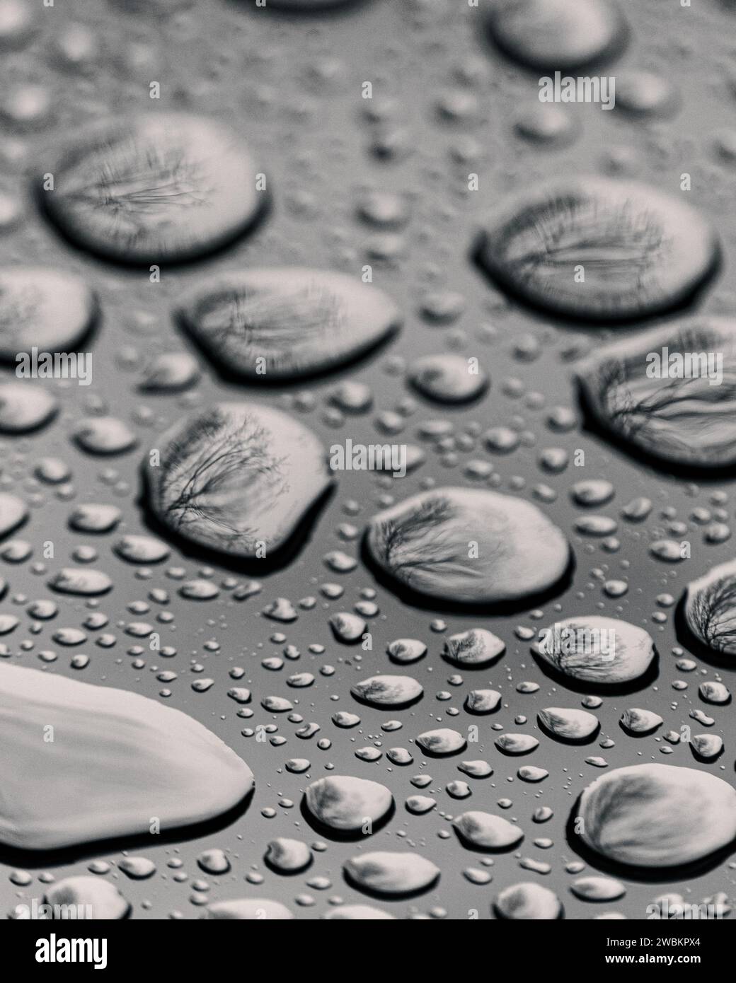 Droplets across surface hi-res stock photography and images - Alamy