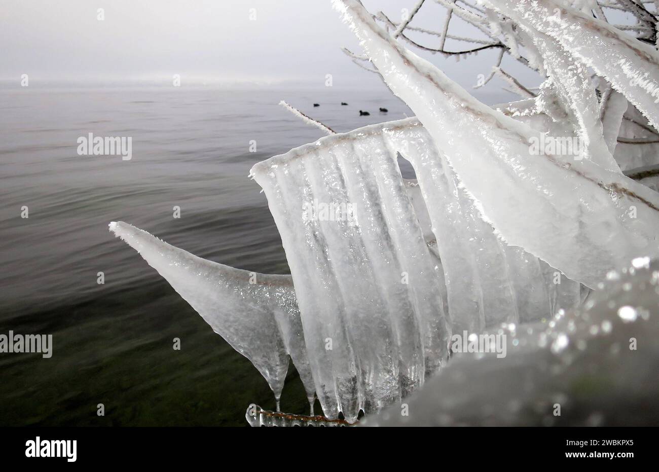 Tutzing, Bayern, Deutschland 11. Januar 2024: Ein Wintertag in Tutzing ...