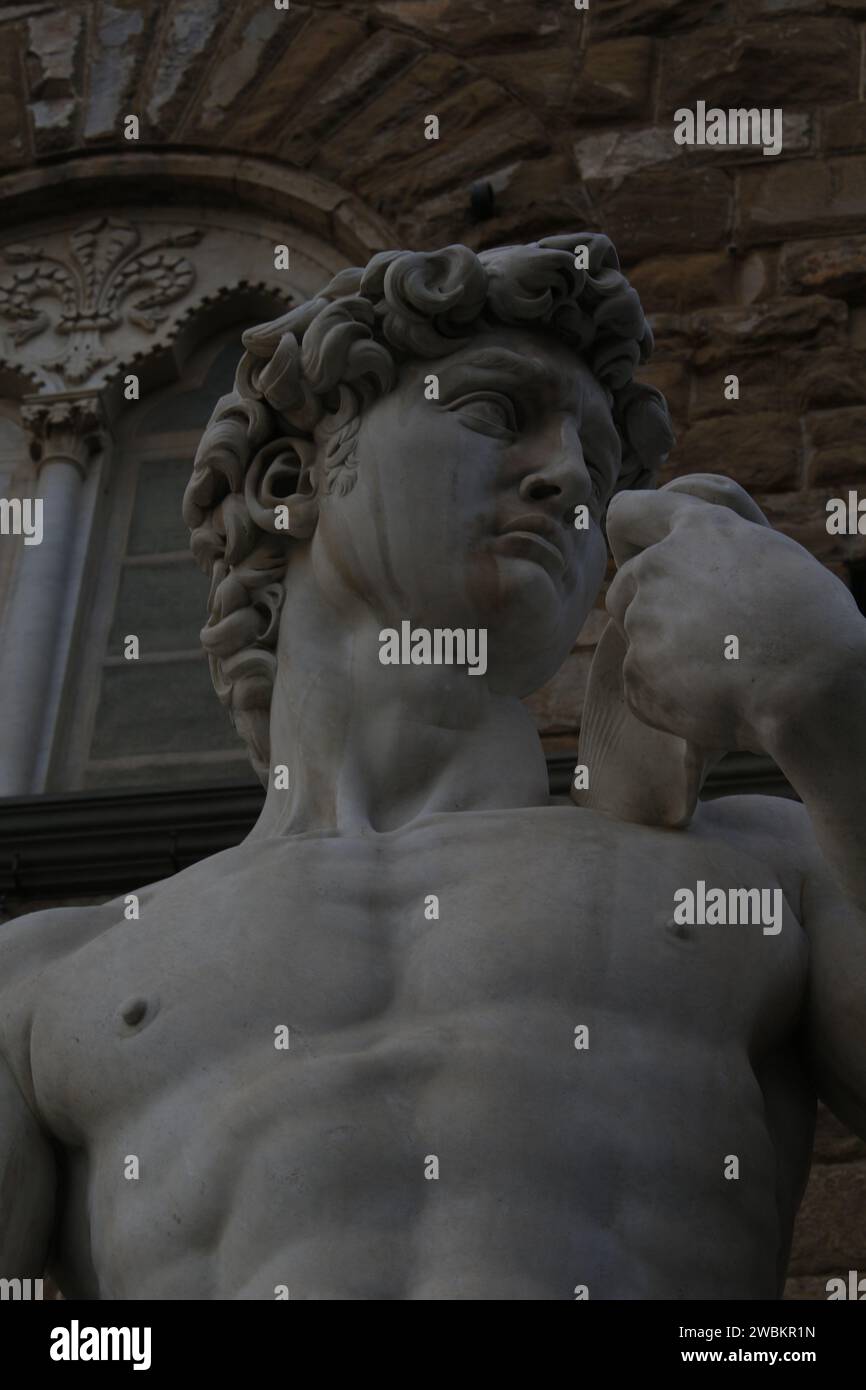 il David di Firenze Stock Photo - Alamy