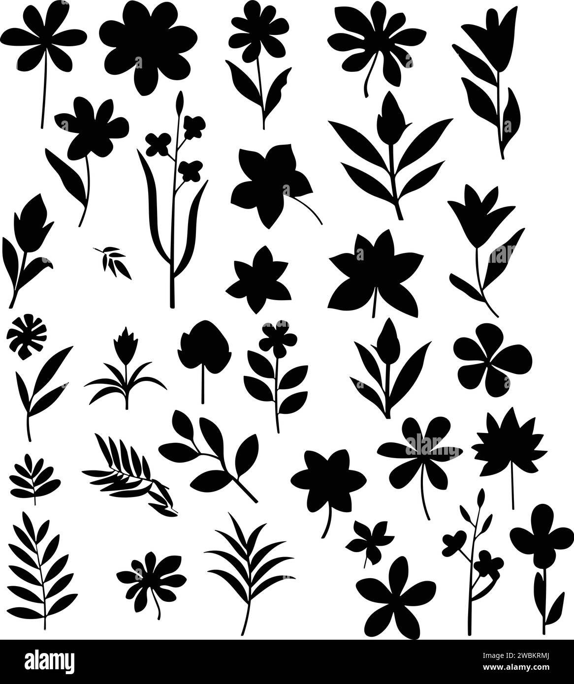 Vector designer elements set collection of forest fern, tropical ...