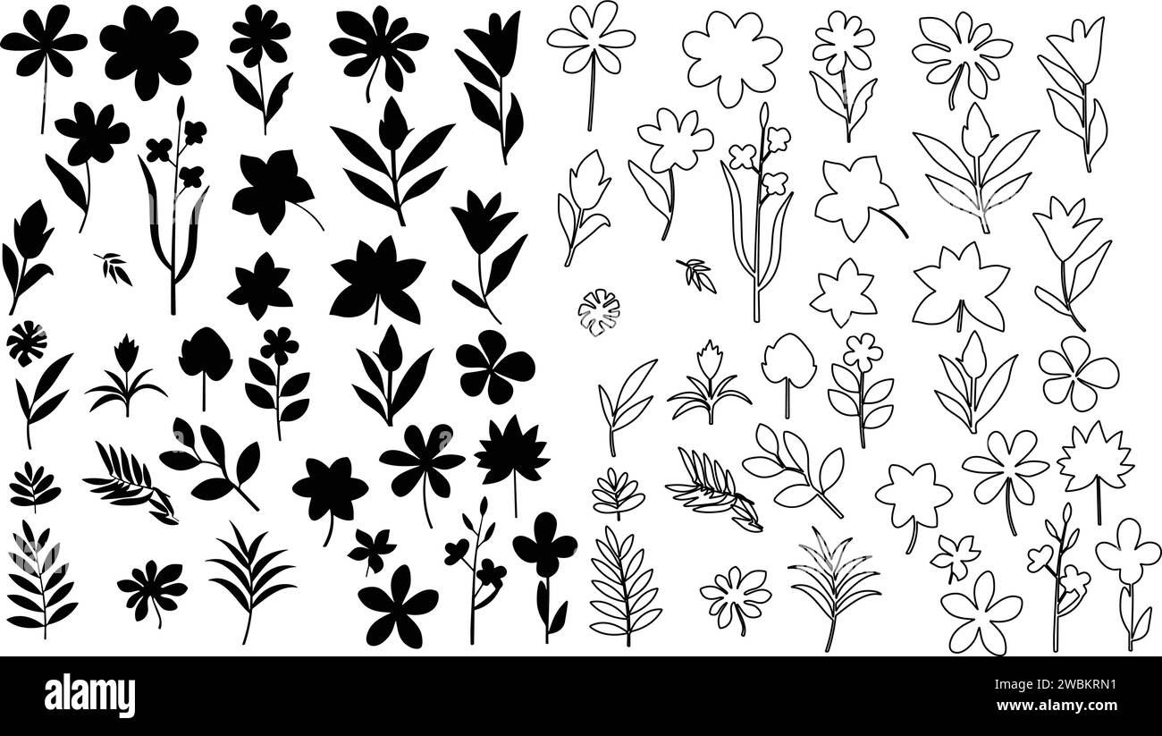 Vector designer elements set collection of forest fern, tropical ...