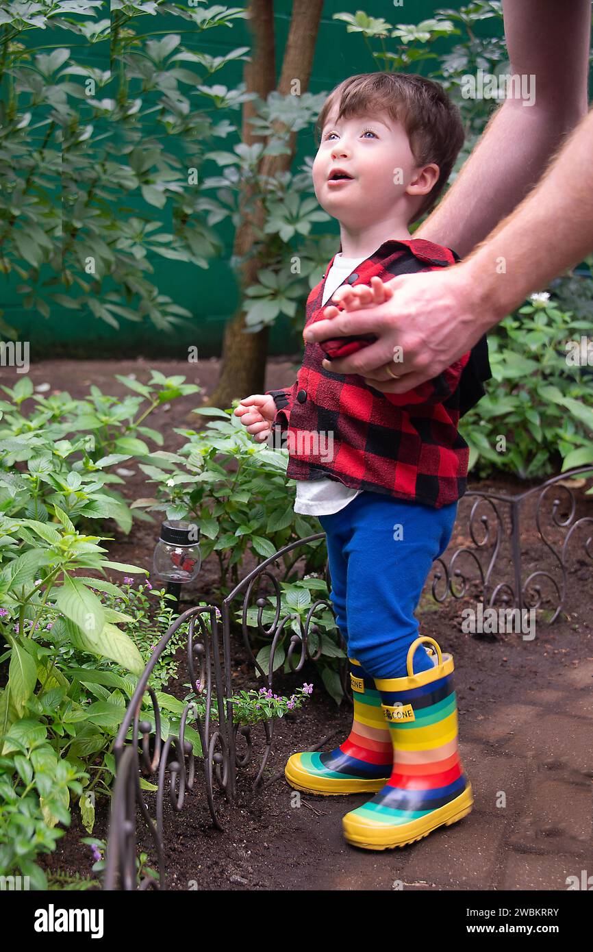 little boy looking in wonder at butterflies Stock Photo - Alamy