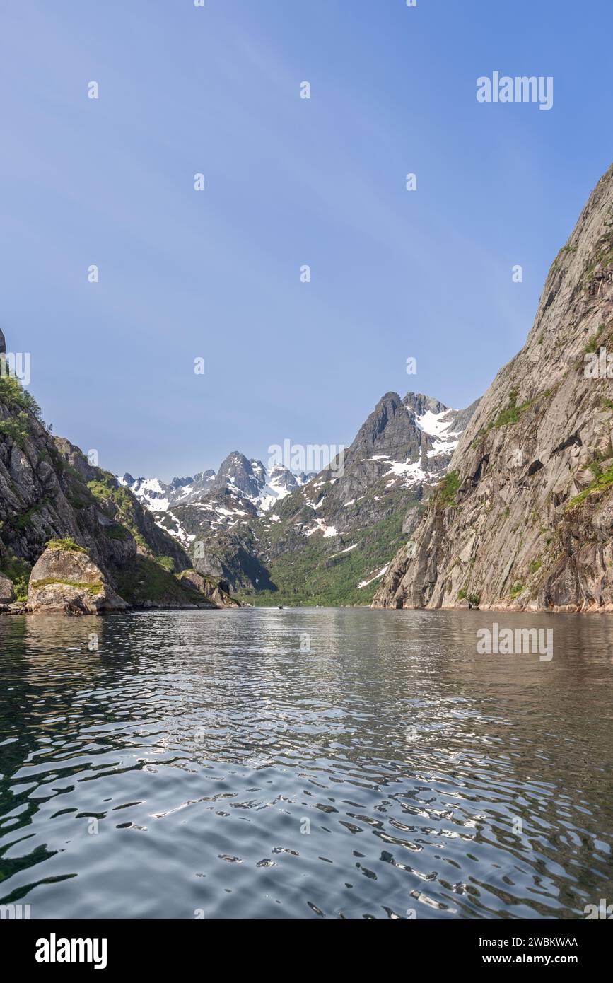 Vertical shot capturing the essence of a Norwegian summer in Lofoten ...