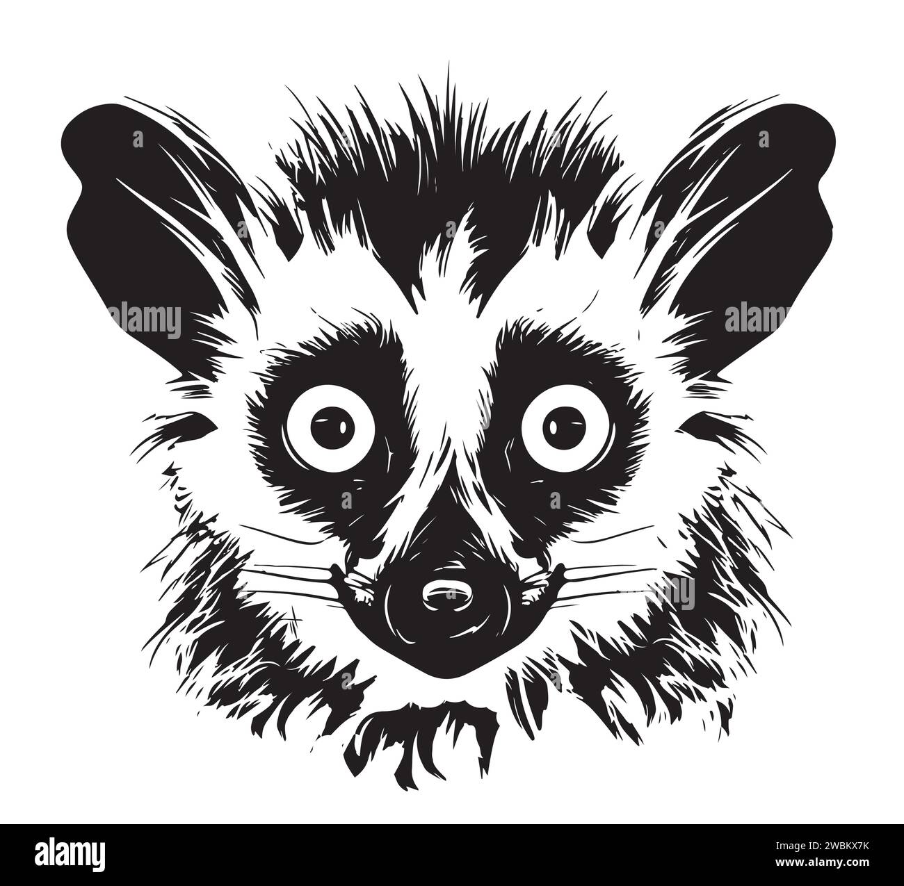 Lemur sketches, outline with white background, hand drawn illustration ...