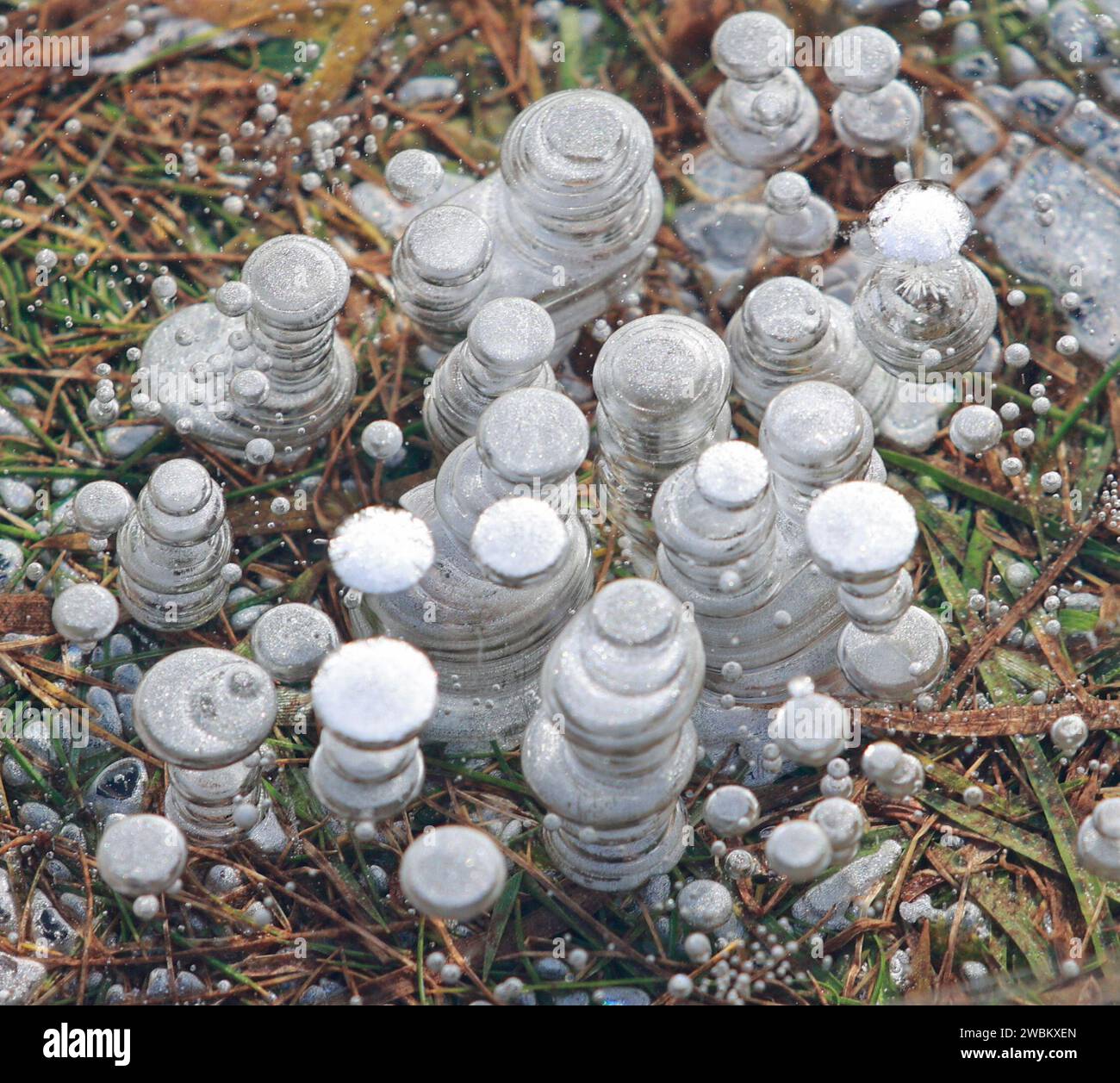 11 January 2024, Saxony-Anhalt, Königshütte: Air bubble inclusions can ...