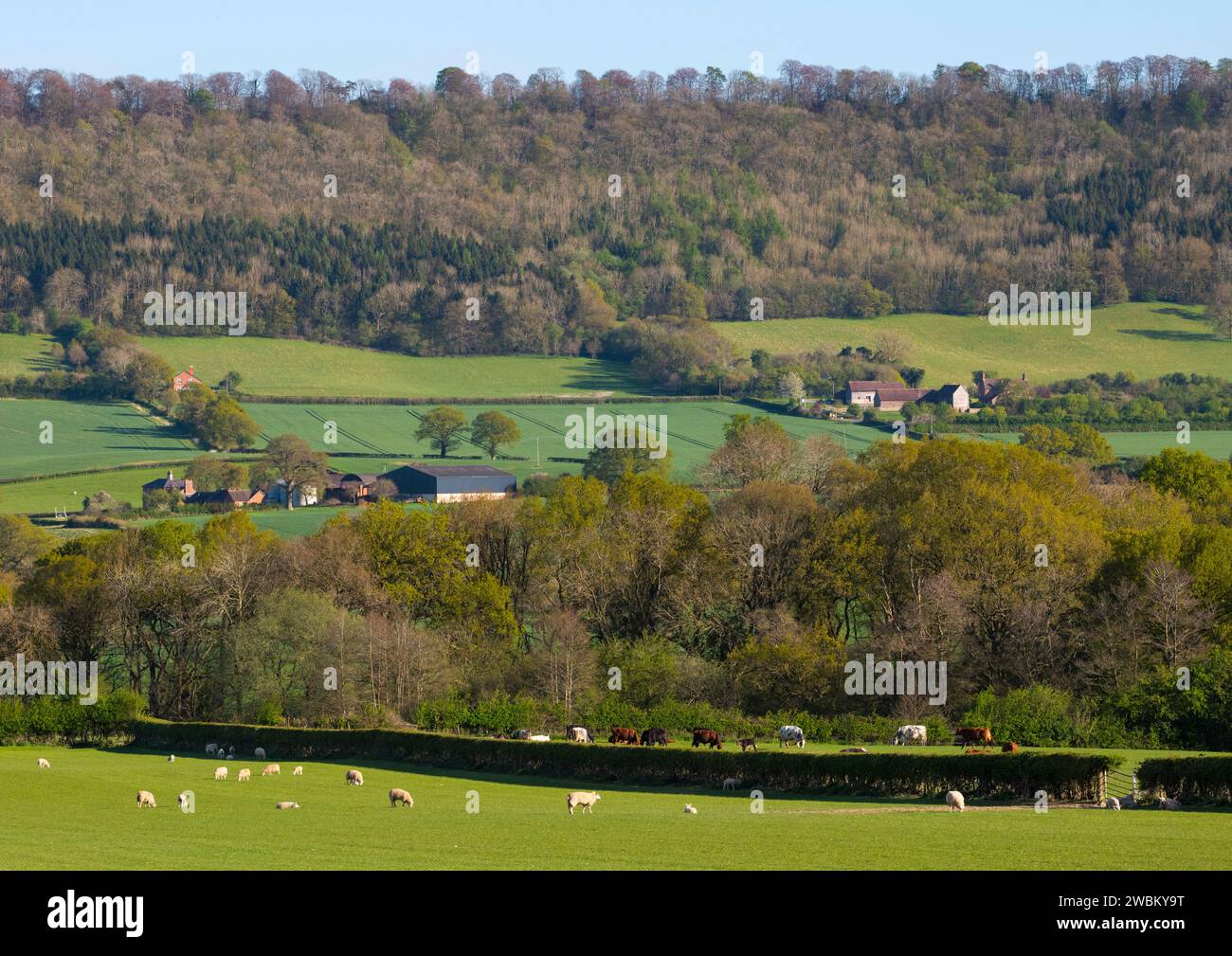 Wenlock edge spring hi-res stock photography and images - Alamy