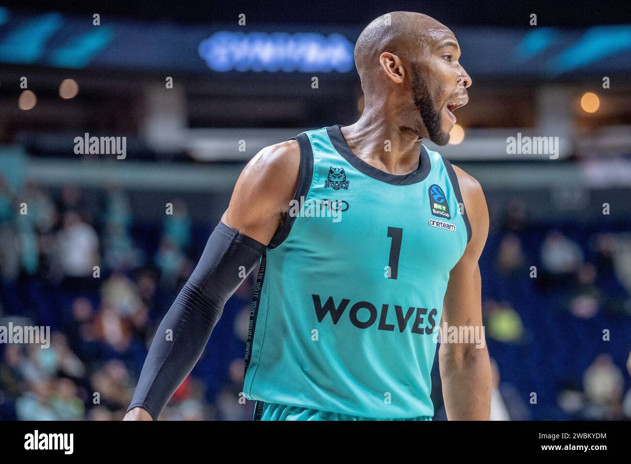 Vilnius wolves hi-res stock photography and images - Alamy