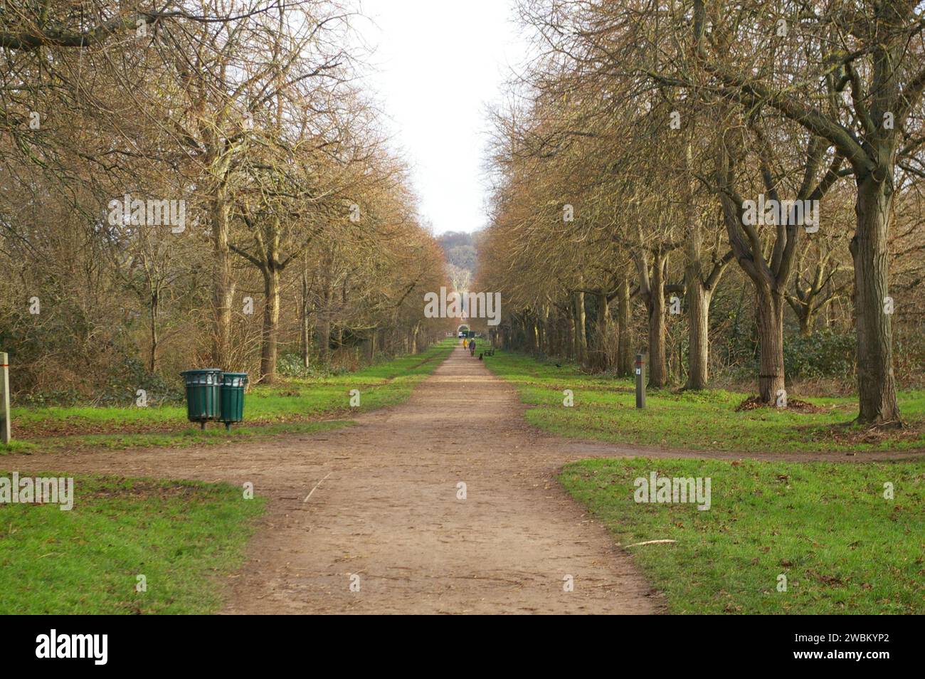 Ham Avenue, Ham House, Ham, London, England Stock Photo - Alamy