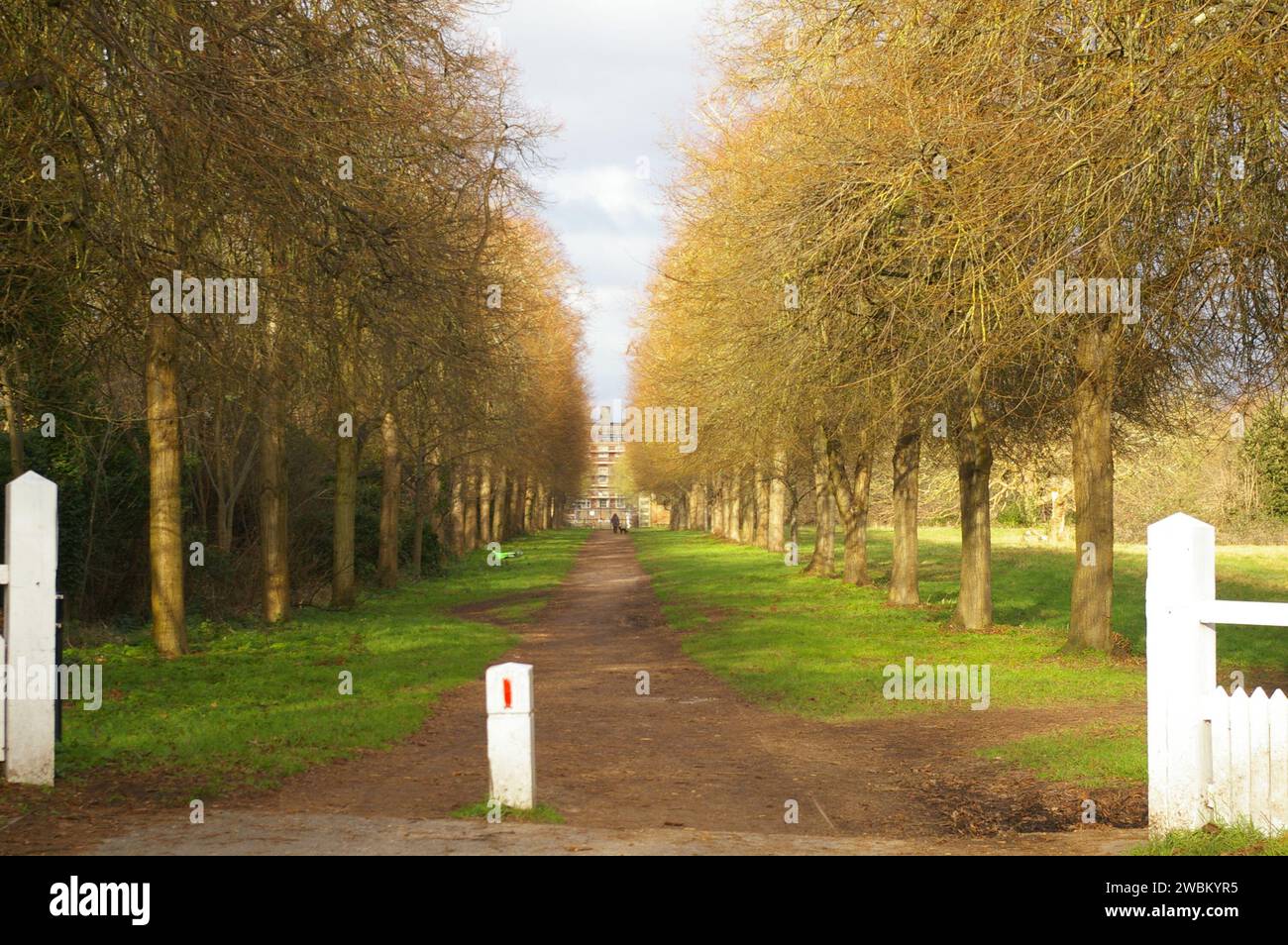 Ham Avenue, Ham House, Ham, London, England Stock Photo - Alamy