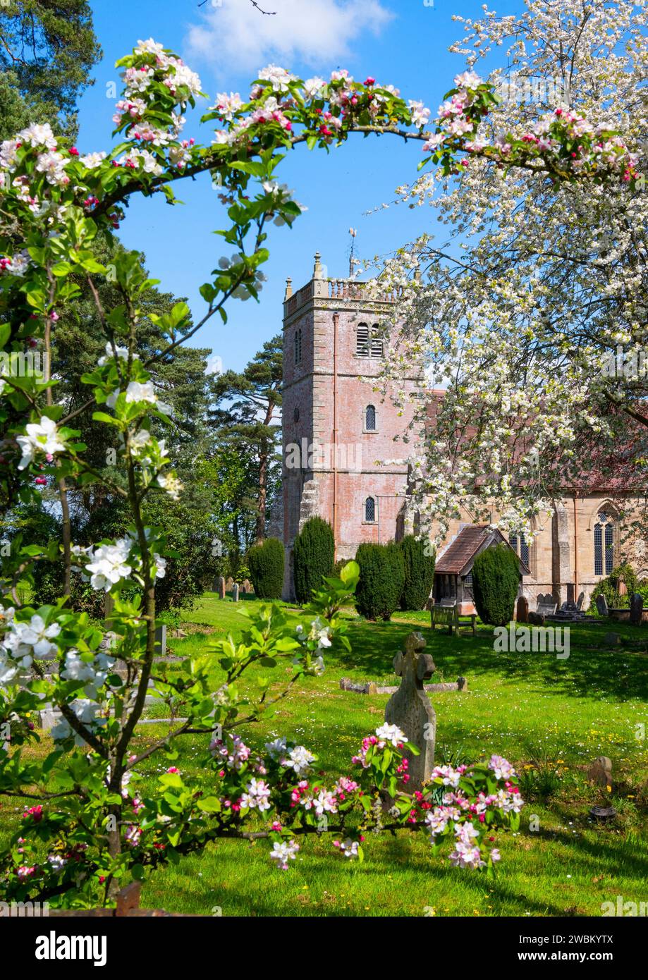 Springtime at St Peter's Church, Chelmarsh, Shropshire Stock Photo - Alamy