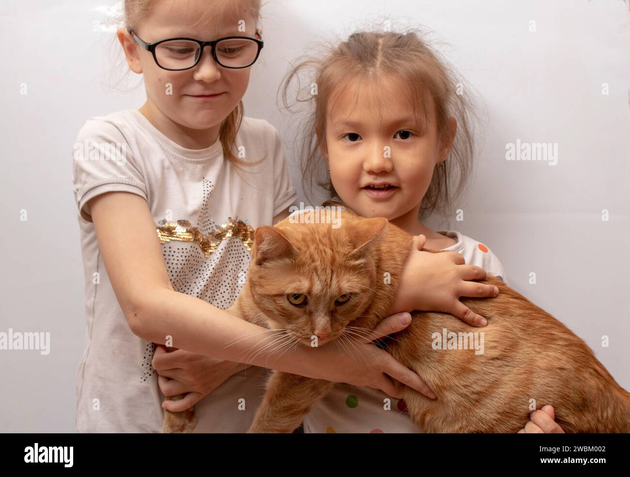 Cute children holding big ginger cat. Two girls with domestic cat Stock ...