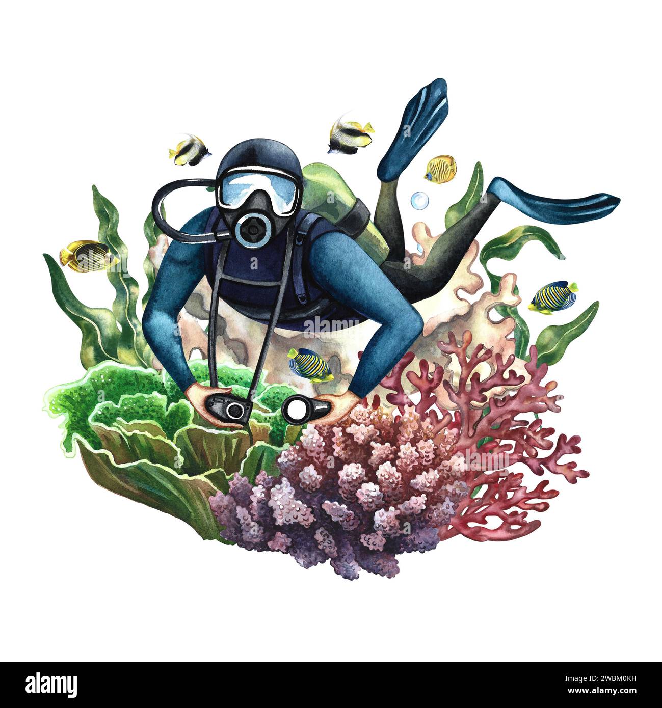 The diver swims underwater. Underwater travel. Watercolor hand drawn ...