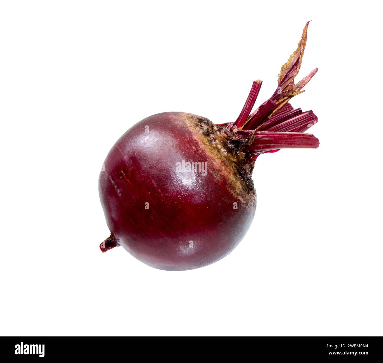 Beetroot soup borscht Cut Out Stock Images & Pictures - Alamy