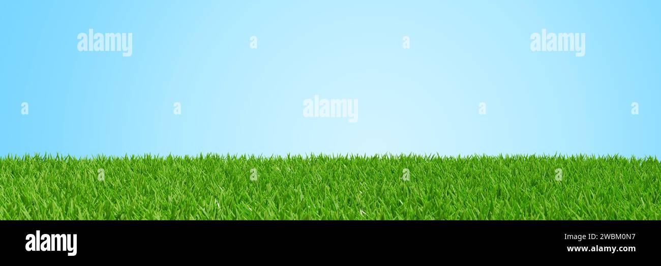 Green fresh grass in the meadow. Banner border 3d rendering Stock Photo ...