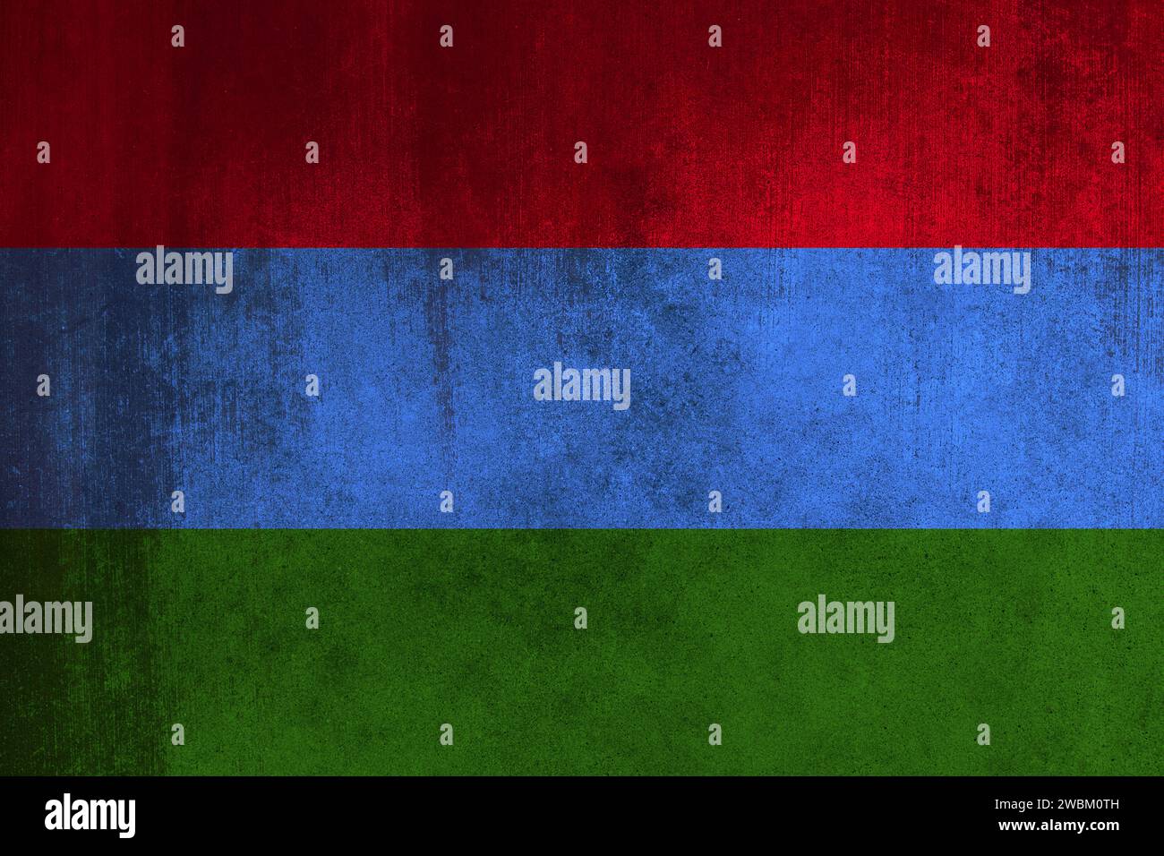 Flag of Karelia, Fabric flag of Karelia. Karelia National Flag, Fabric ...