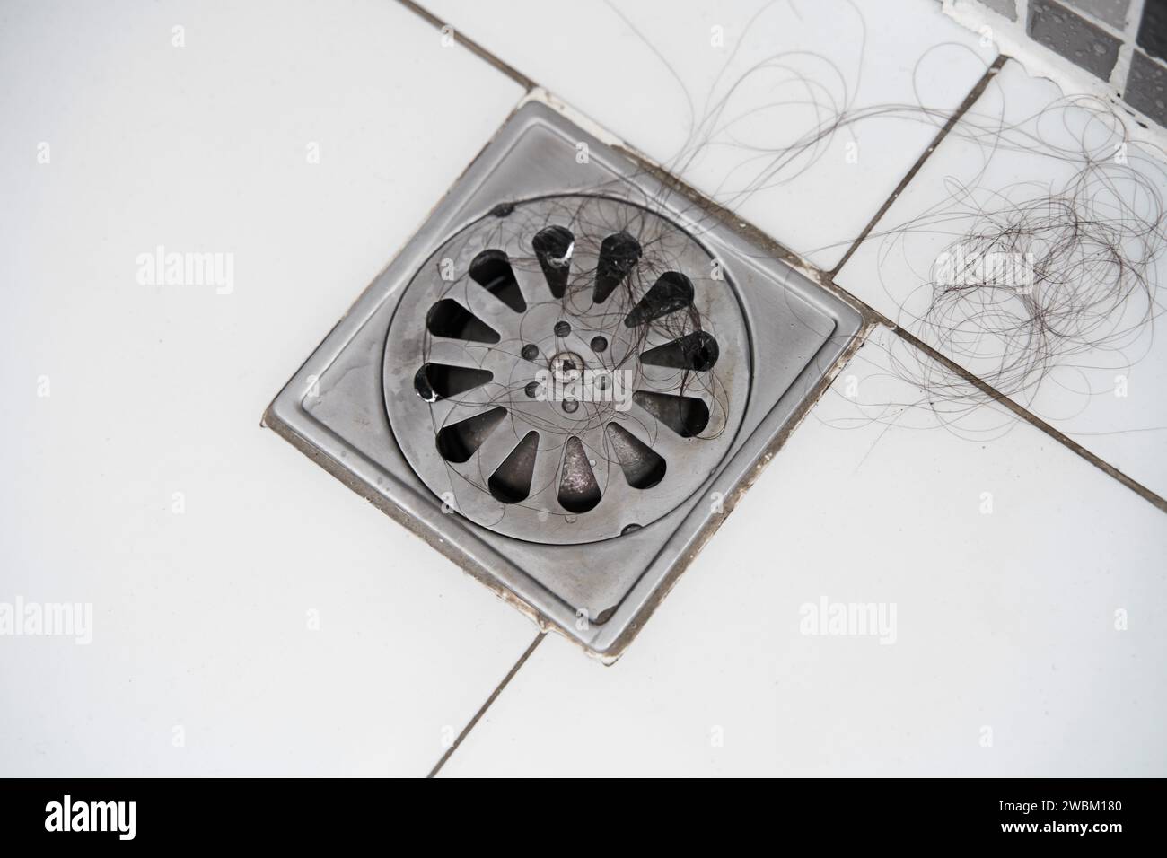 Close-up Pile of hair loss in bathroom after wash hair.hair fall ...
