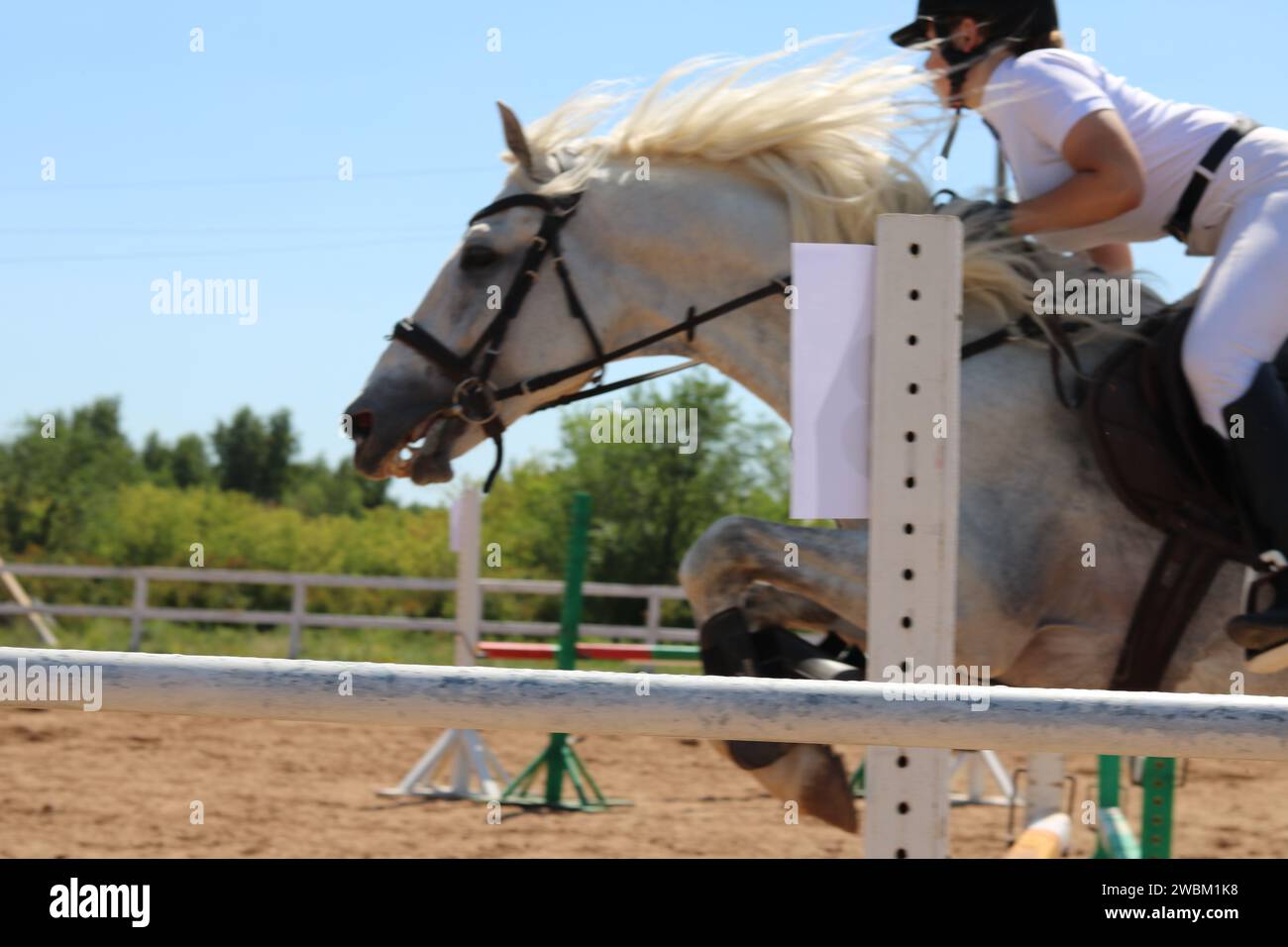 Equestrian Sports, Horse jumping sport, Show Jumping concept Stock ...